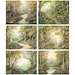 Forest Background Paper Printable 48 Sheets Woodland Collage Nature ...