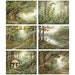 Forest Background Paper Printable 48 Sheets Woodland Collage Nature ...