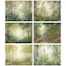 Forest Background Paper Printable 48 Sheets Woodland Collage Nature ...