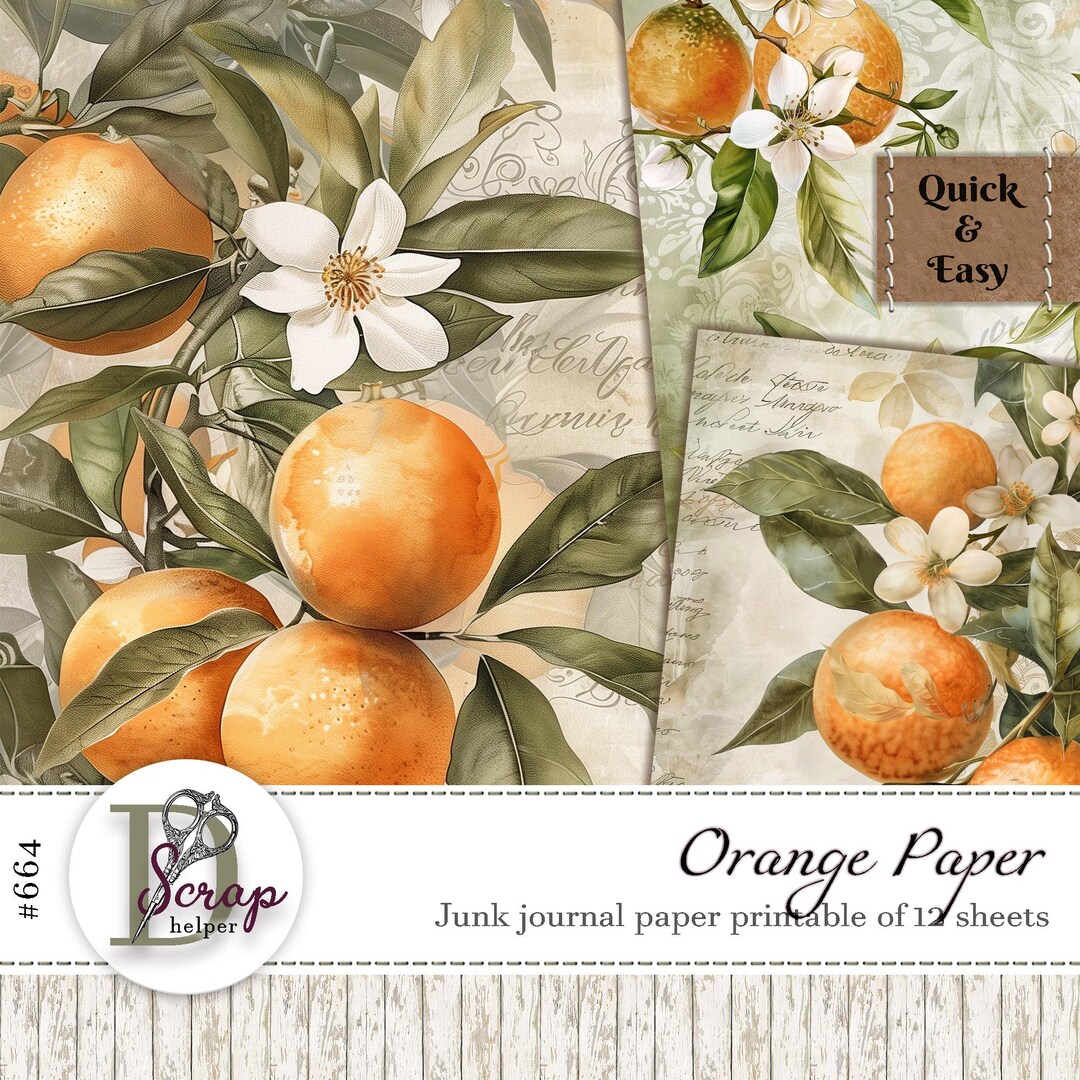 Orange Dream Paper Printable of 12 Sheets Fruit Paper Oranges Prints ...