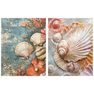 Seashell Paper Printable 12 Sheets Scrappy Undersea World Nautical ...