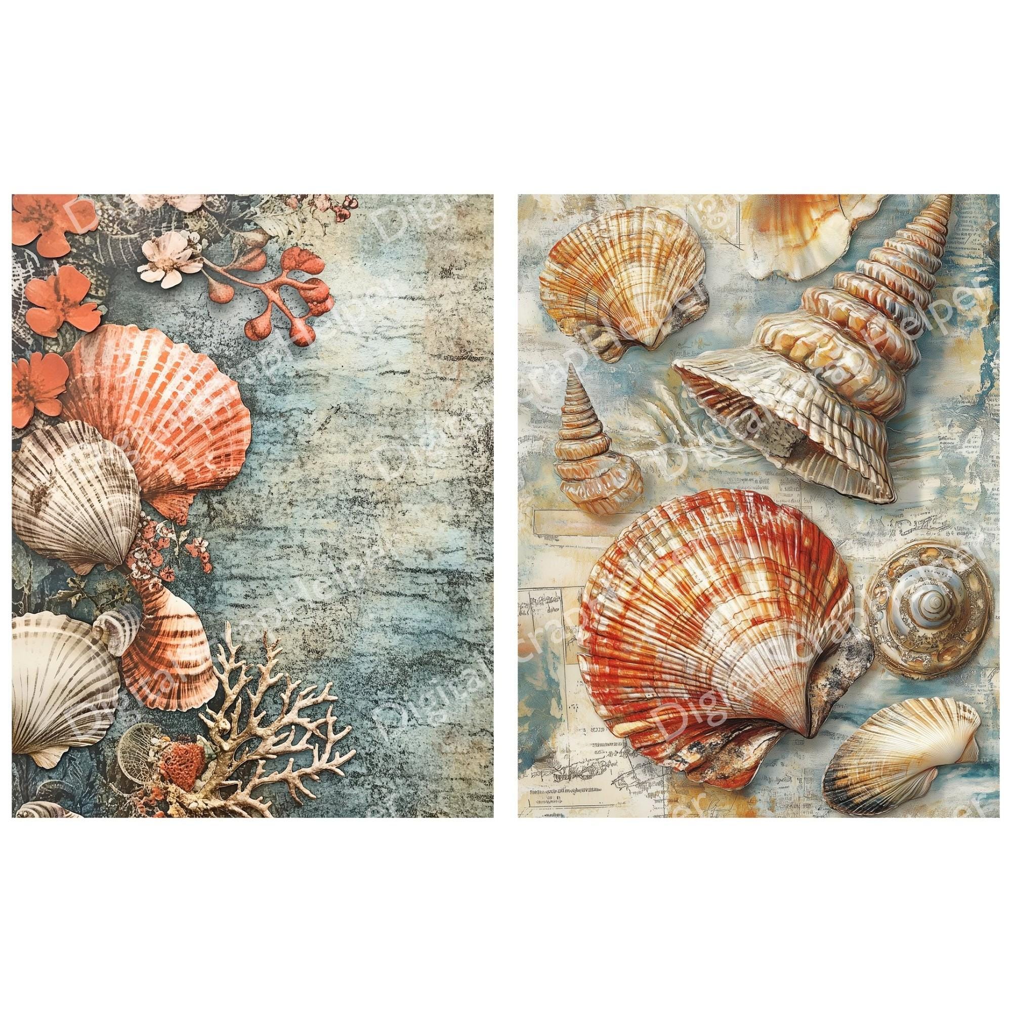 Seashell Collage Sheets for Nautical Distressed Junk Journals and ...