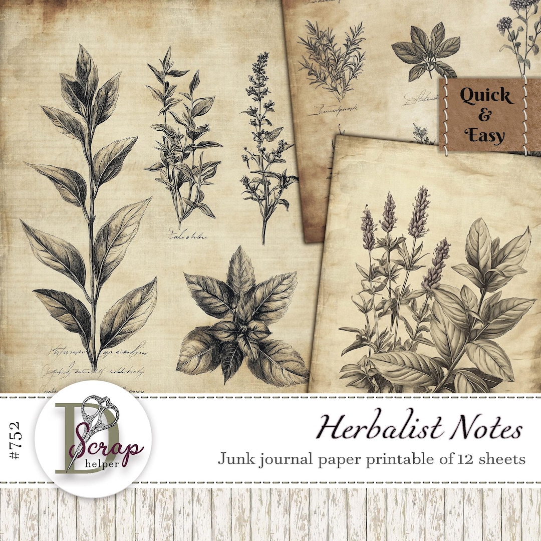 Botanical Sketch Paper Printable of 12 Sheets Masterboard Herbs ...