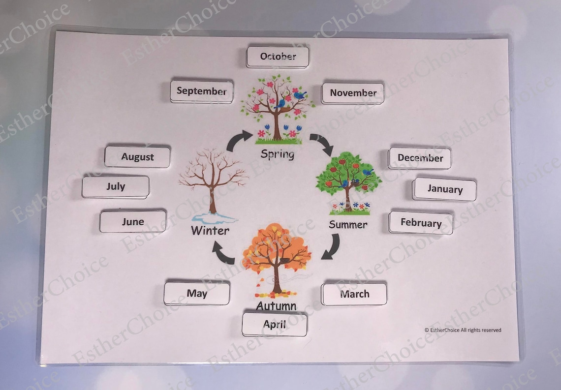 Four Seasons Sorting Activity - Etsy
