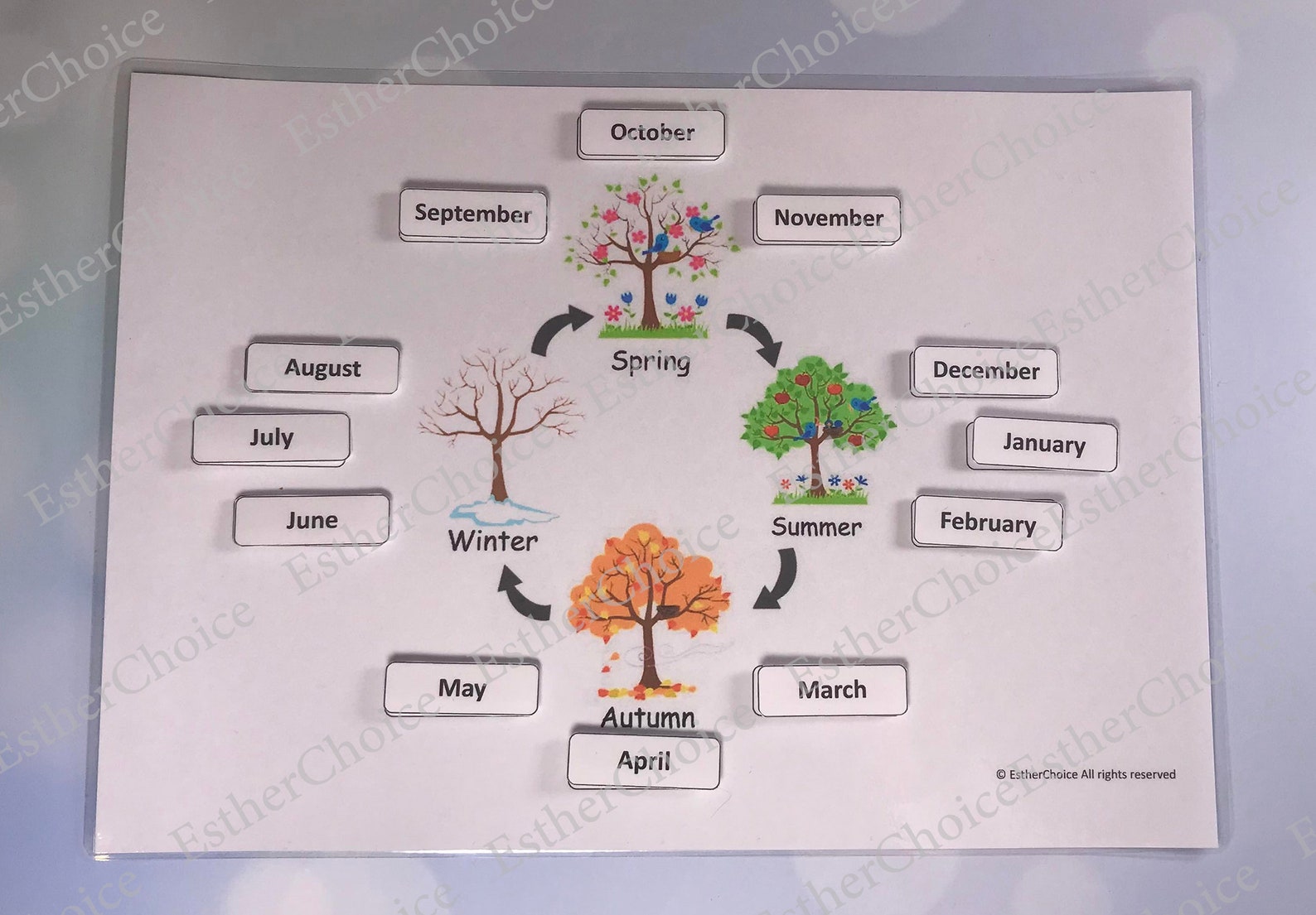 Four Seasons Sorting Activity - Etsy