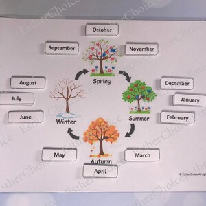 Four Seasons Sorting Activity - Etsy