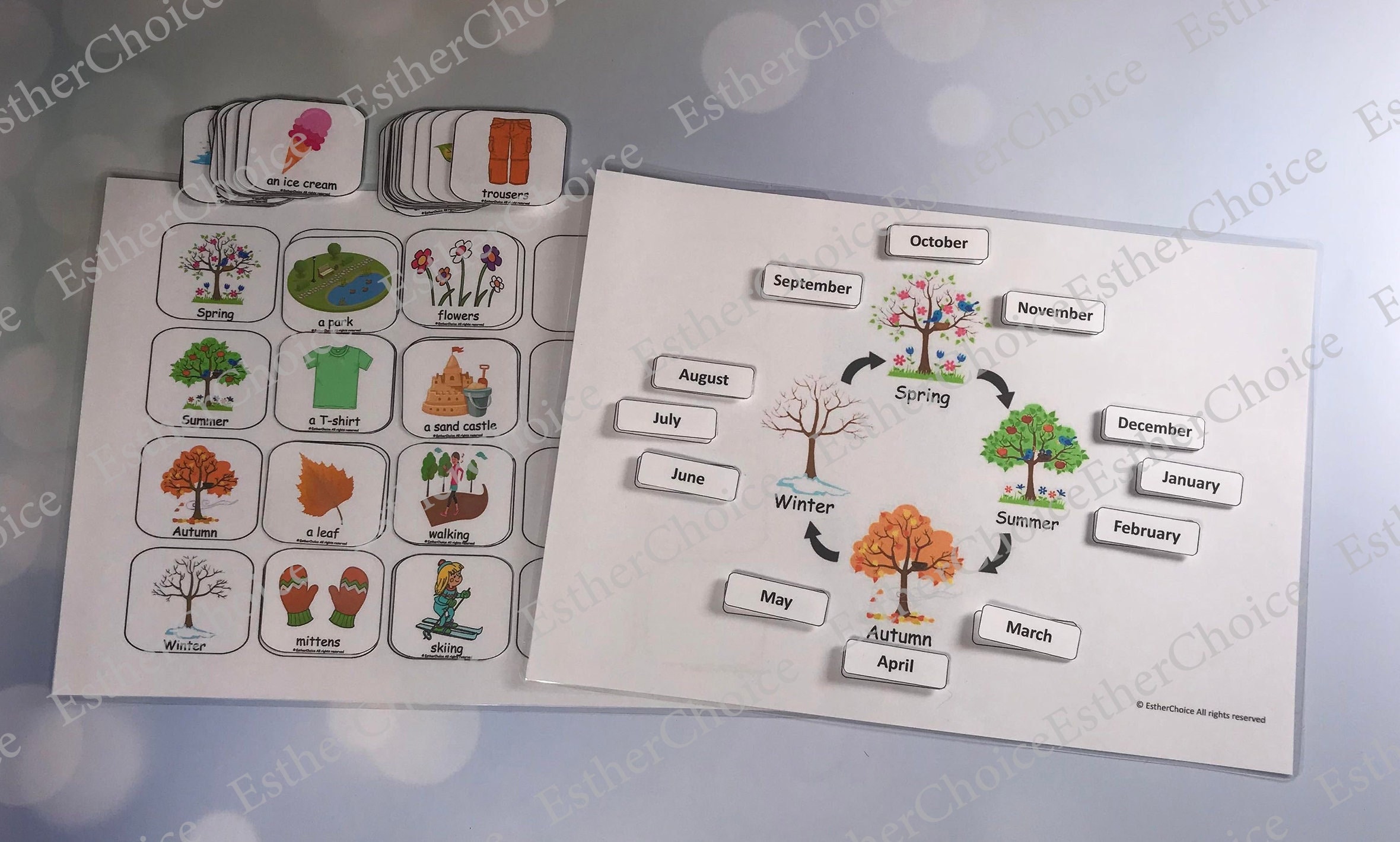 Four Seasons Sorting Activity - Etsy