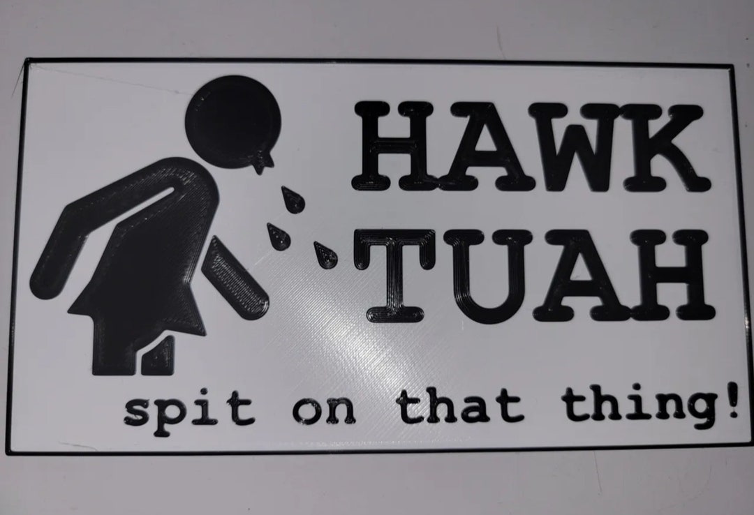 Hawk Tuah Spit on That Thing Door Sign, Hawk Tuah Meme, Wall Plaque ...