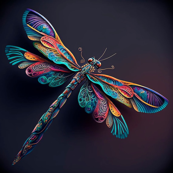 Colorful Dragonfly