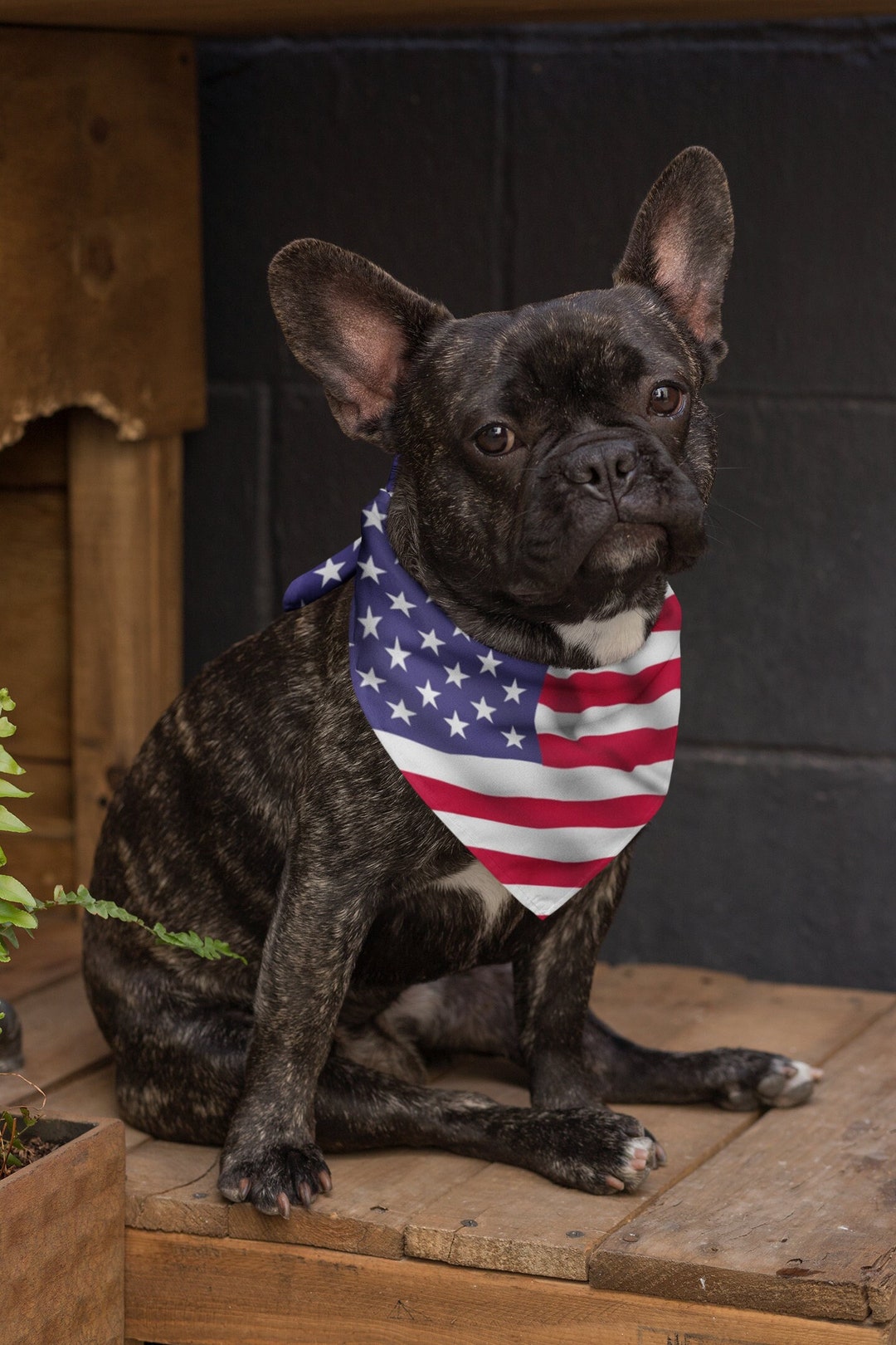 American Flag Pet Bandana 4th of July Pet Bandana USA Dog - Etsy