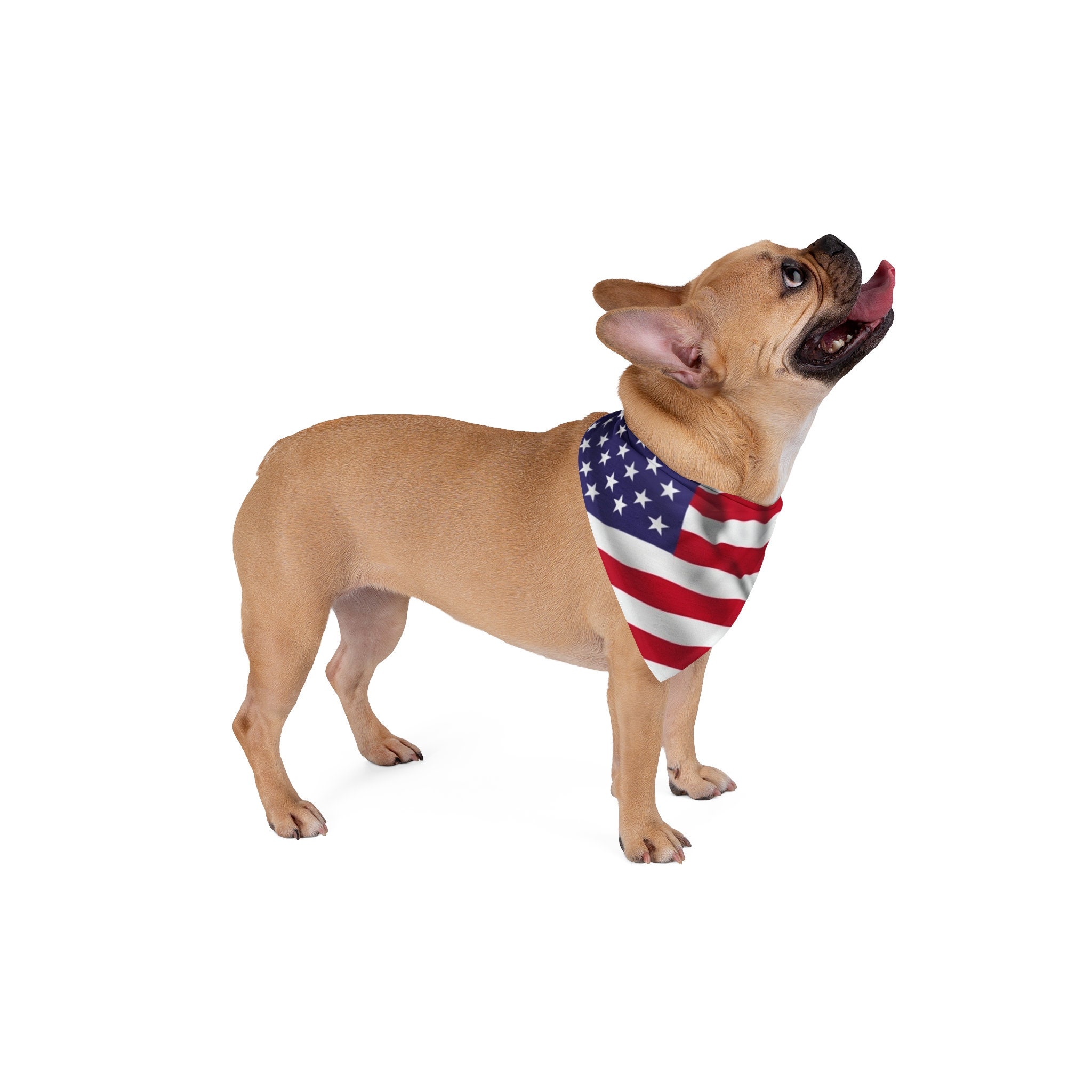 American Flag Pet Bandana | 4th of July Pet Bandana | USA Dog Bandana ...