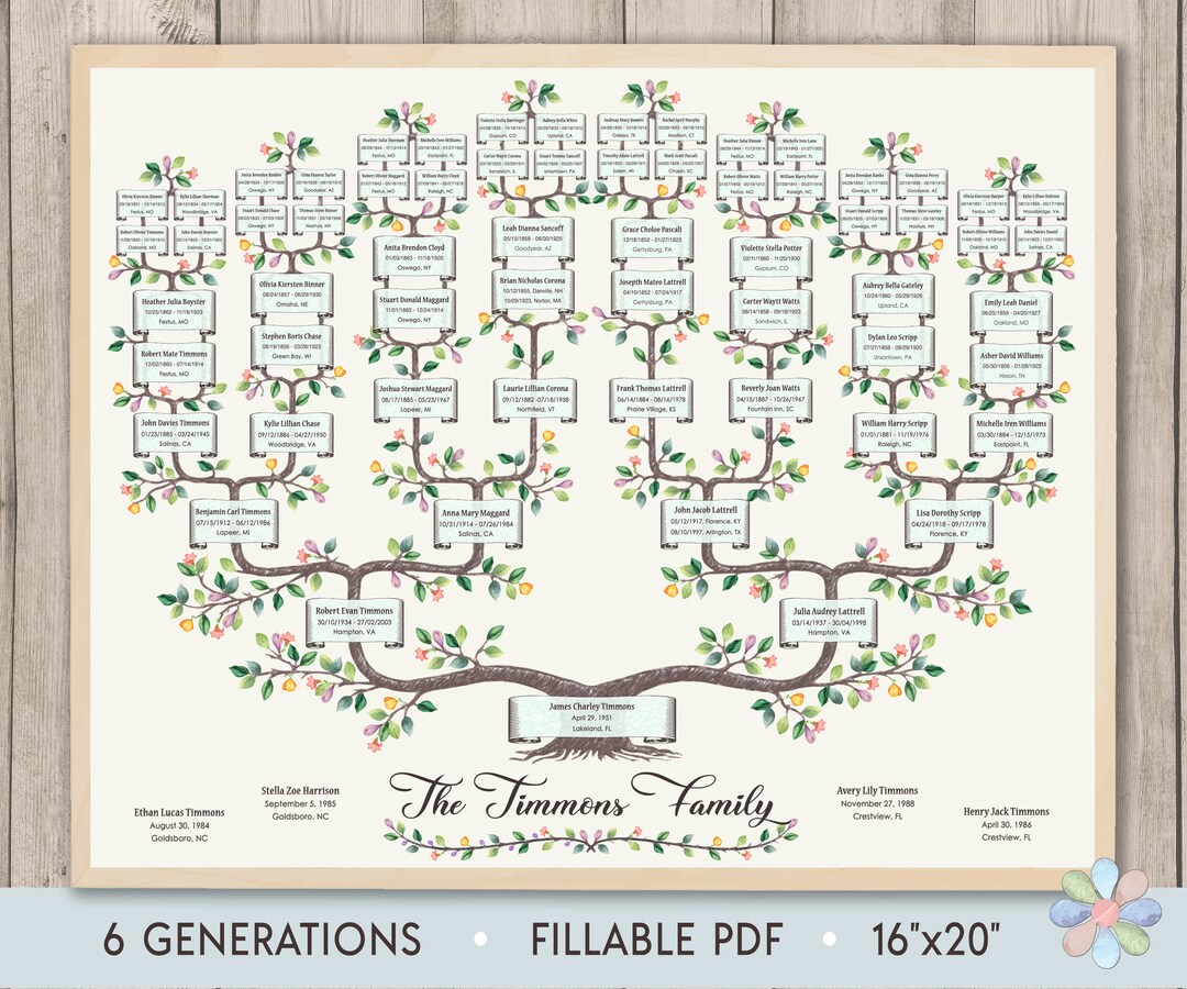 Family Tree Template for 6 Generations. Branched Timmi Genealogy Family ...