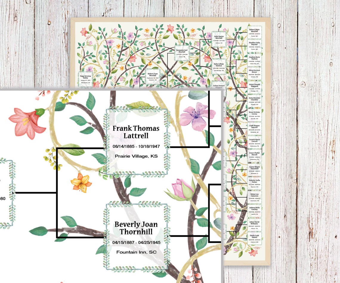 Family Tree Template for 5 Generations. Two Branched Intertwining Trees ...