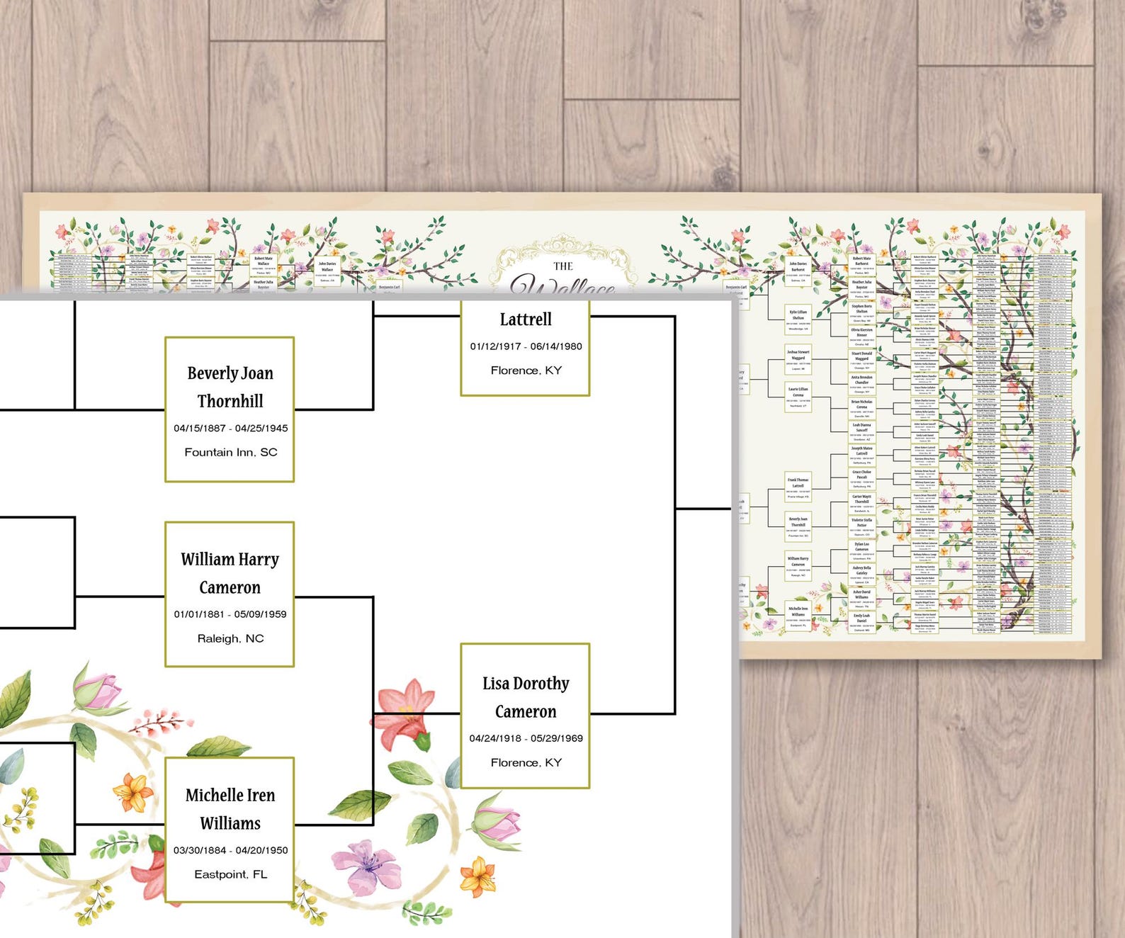 8 Generations Family Tree Template: Two Branched Intertwining Large ...