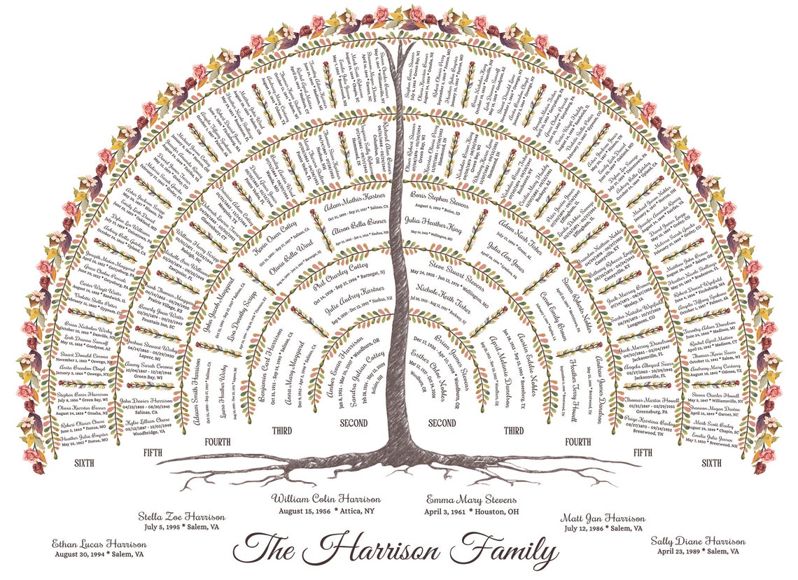 Family Tree Chart for 6 Generations. Tree With Roots Harri Four Seasons ...