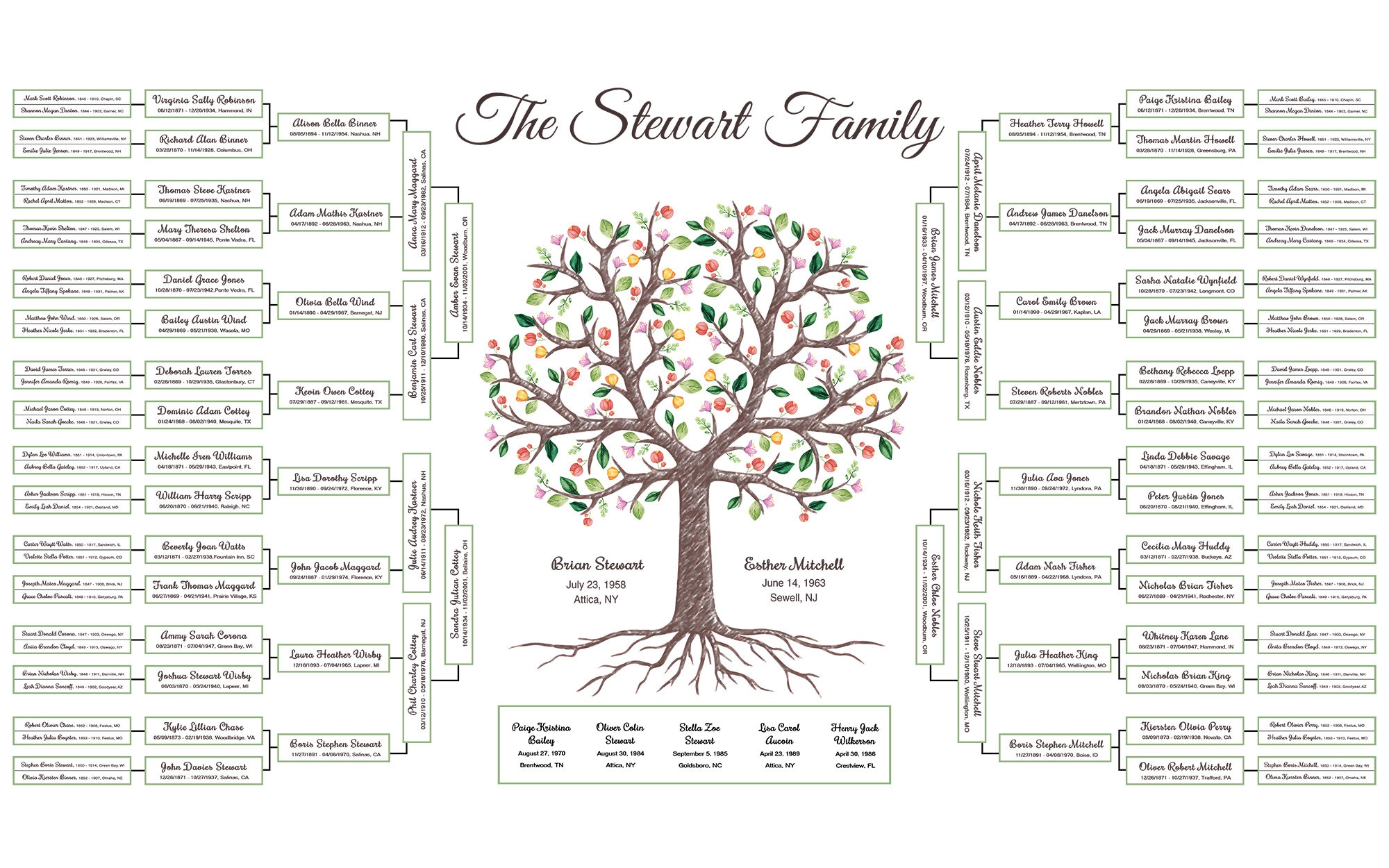 Family Tree Chart for 6 Generations. Tree With Roots Large Stivi Four ...