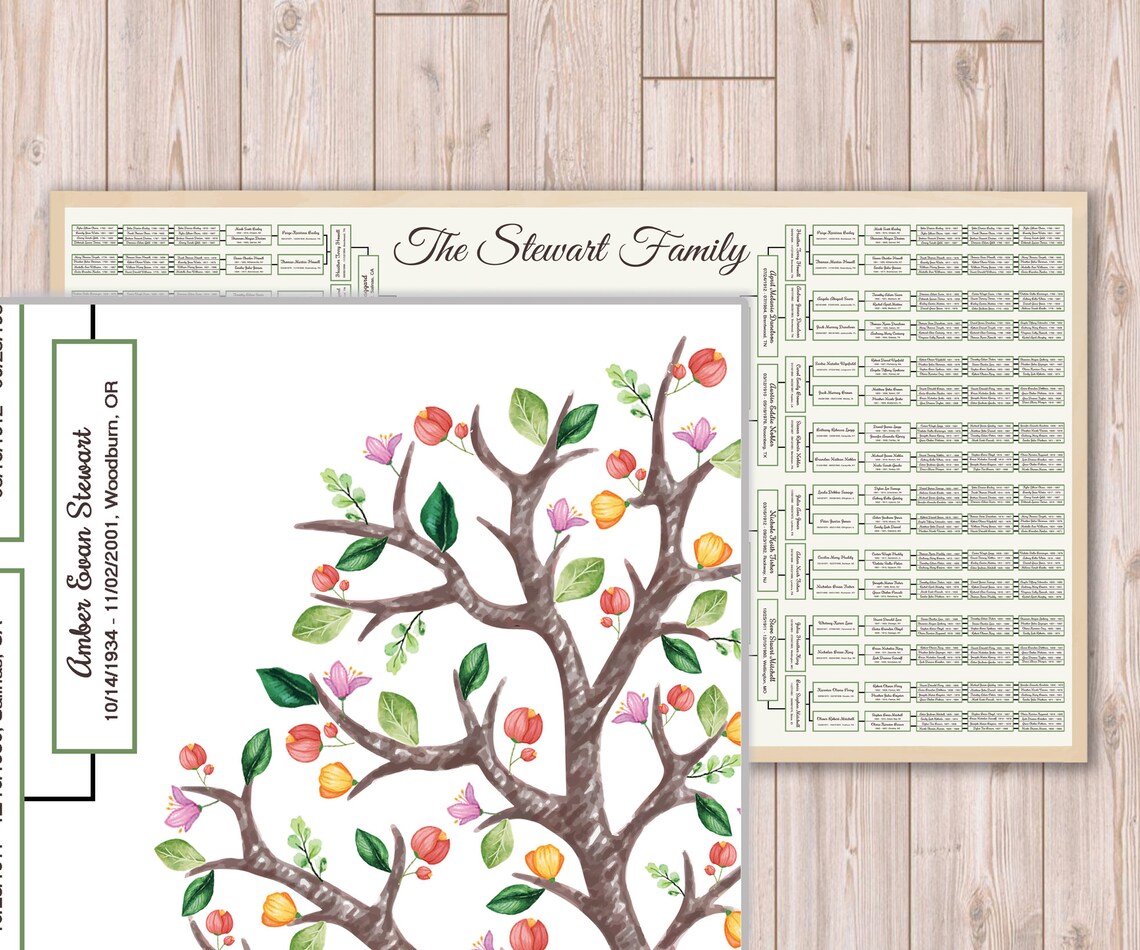 Family Tree Chart for 8 Generations. Tree With Roots Large Stivi Family ...