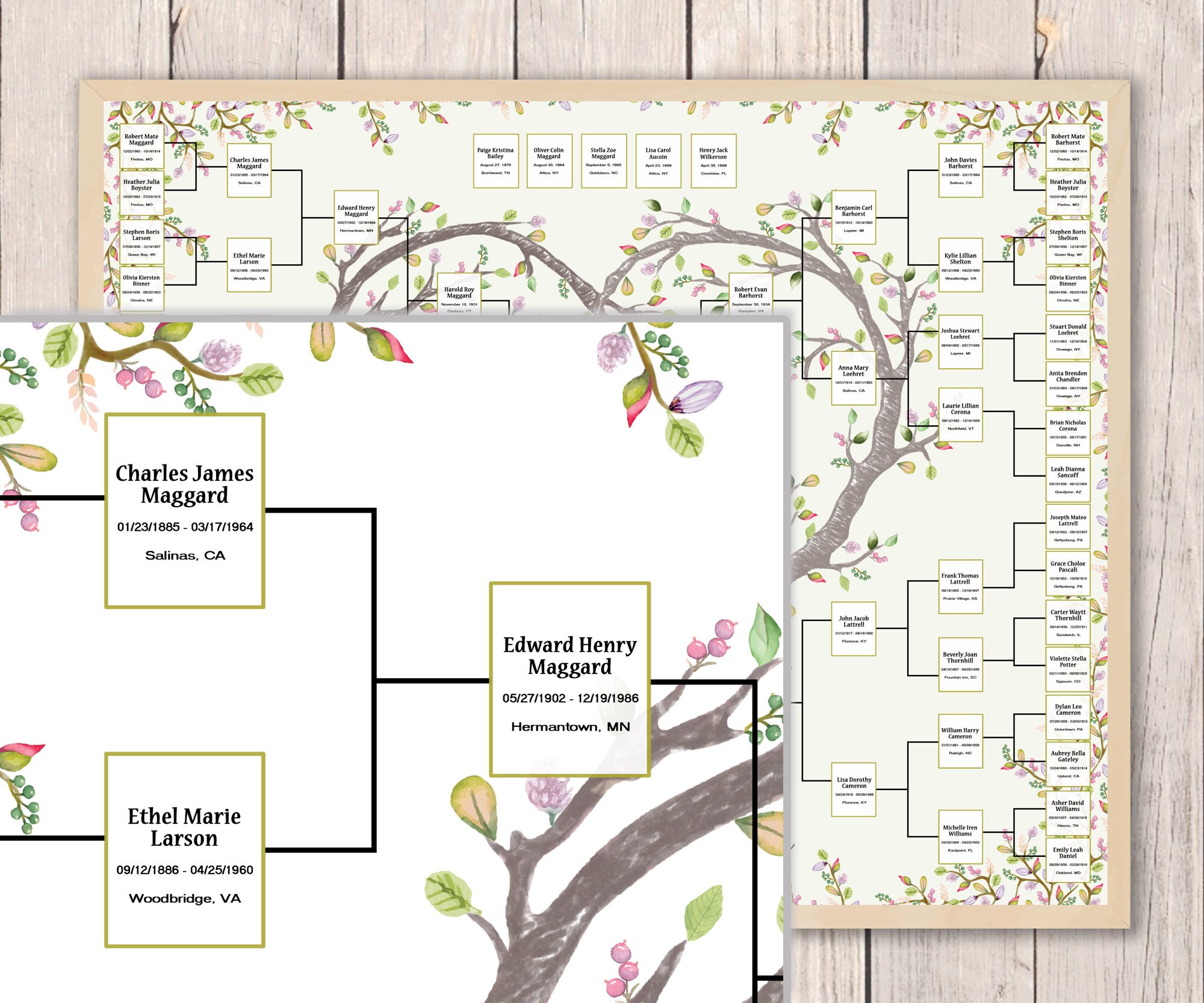 Family Tree Template for 5 Generations. Two Intertwining Heart Trees ...
