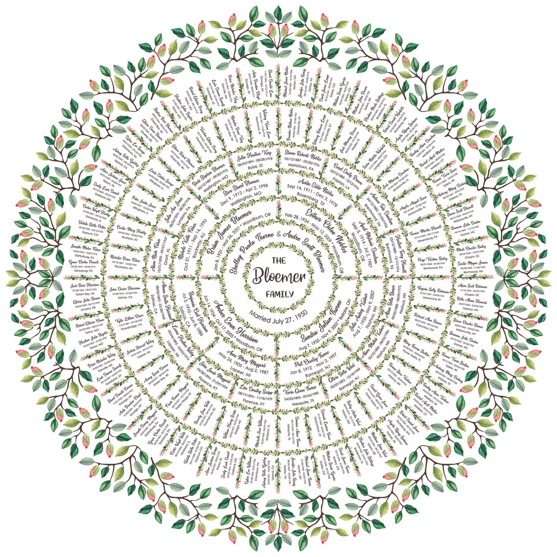 Family Tree Chart for 6 Generations. Round Tree With Leafy Ornament ...