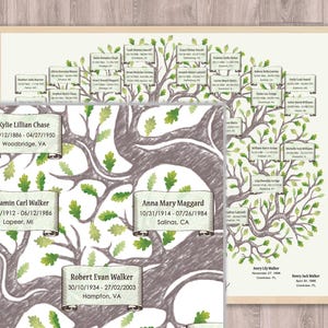 Family Tree Template for 5 Generations. Green Old Oak Tree Curved Trunk ...