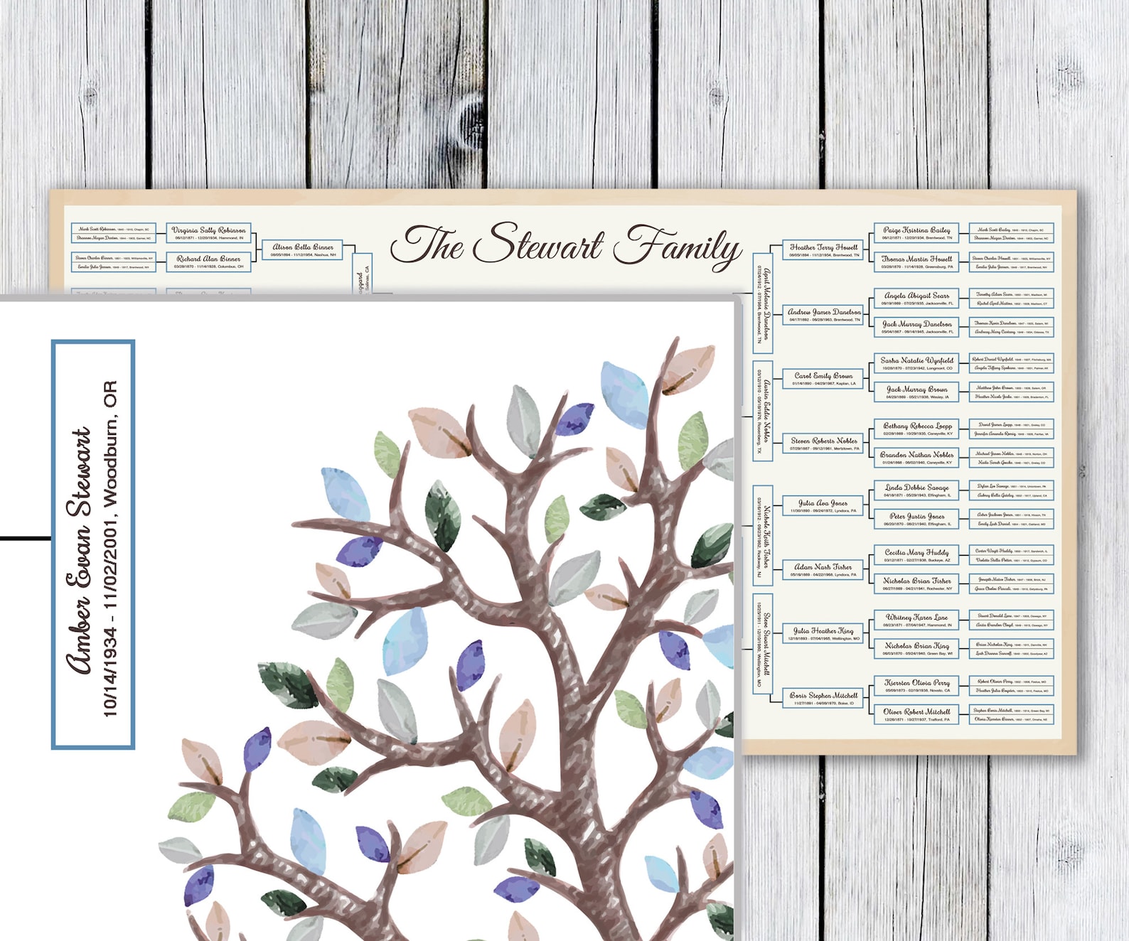 Family Tree Chart for 6 Generations. Tree With Roots Large Stivi Four ...