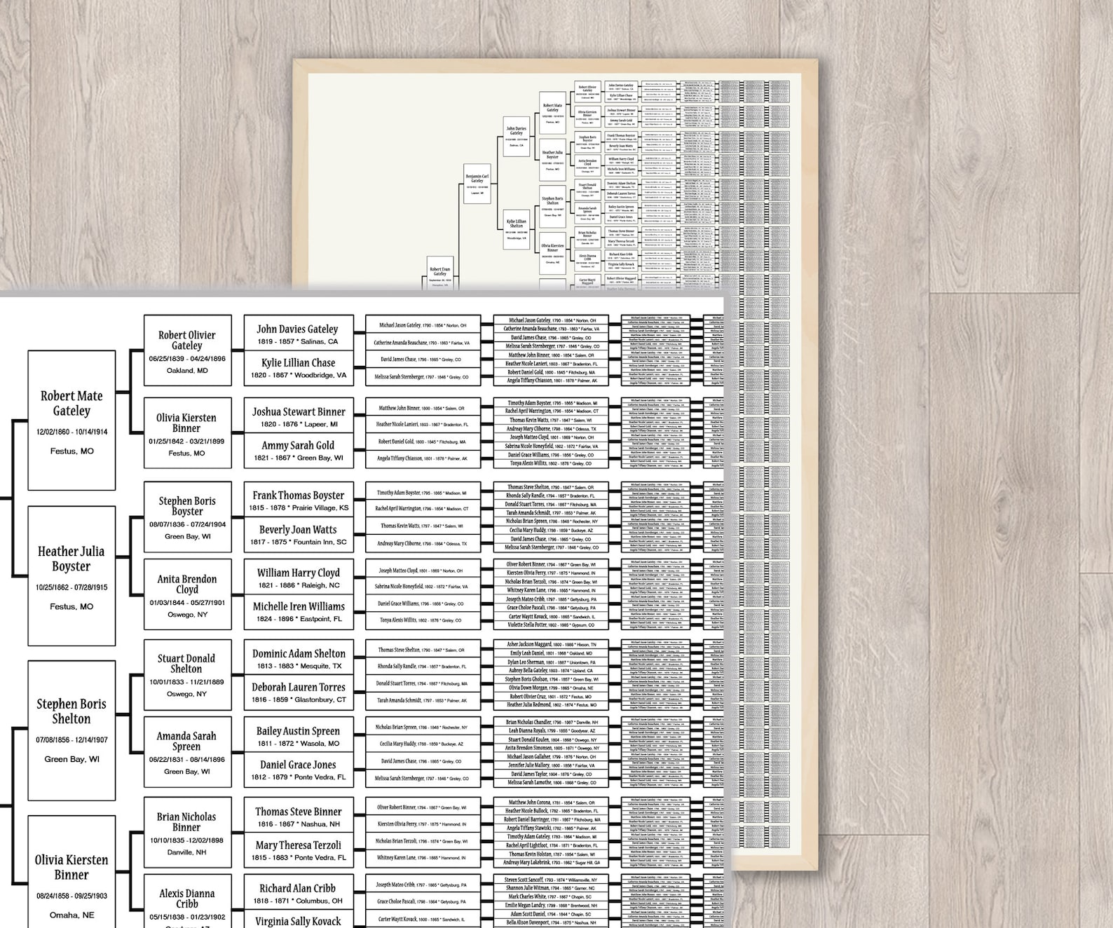 11 Generations Family Tree Template: Blank Cromi Genealogy Chart ...