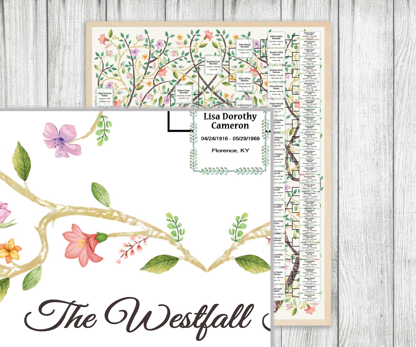 Family Tree Template for 6 Generations. Two Branched Intertwining Trees ...