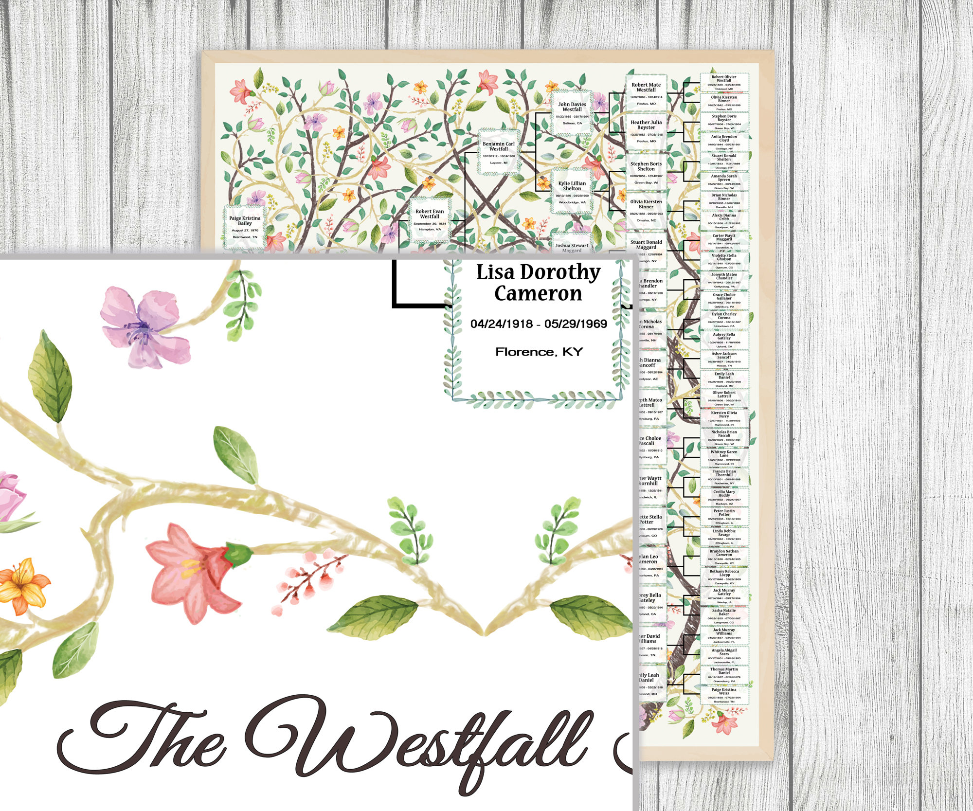 Family Tree Template for 6 Generations. Two Branched Intertwining Trees ...