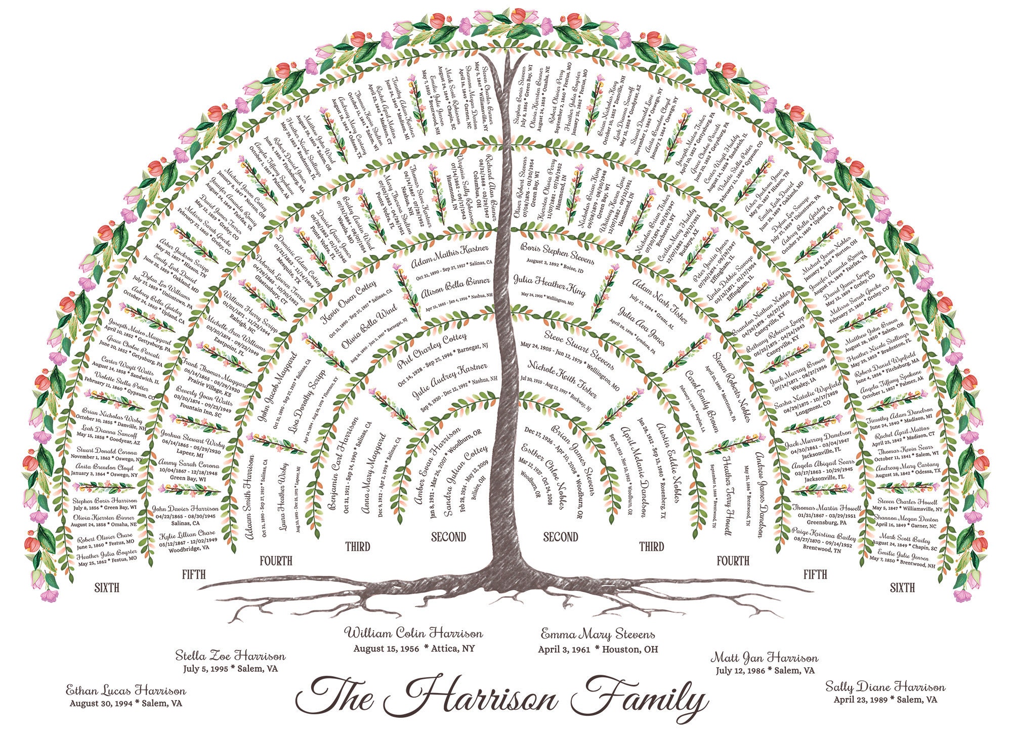 Family Tree Chart for 6 Generations. Tree With Roots Harri - Etsy