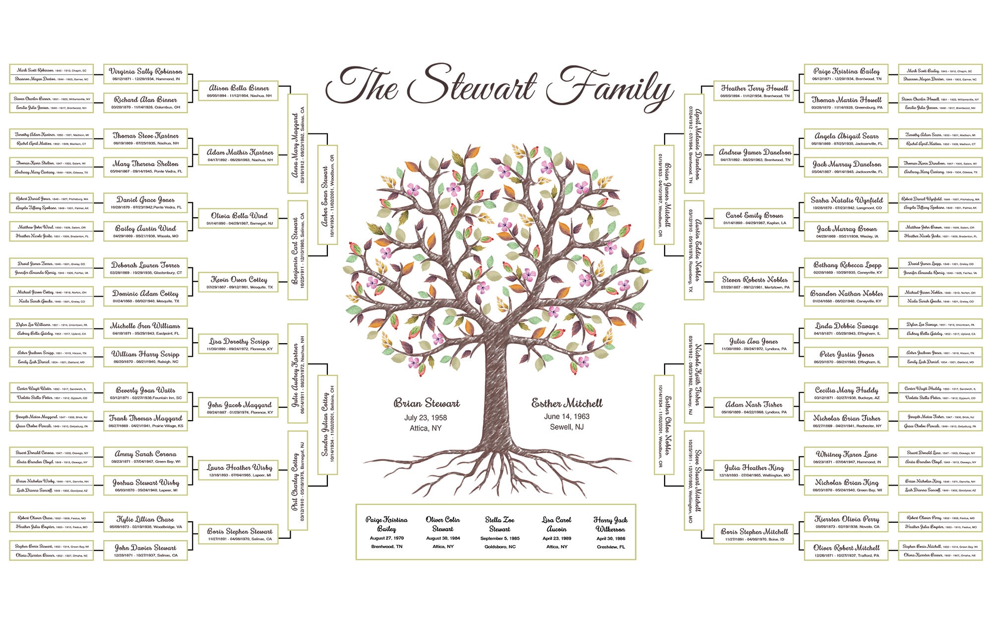 Family Tree Chart for 6 Generations. Tree With Roots Large Stivi Four ...