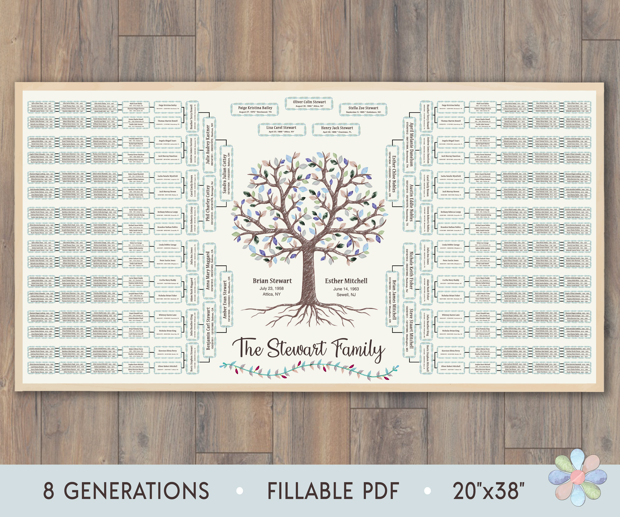 Family Generation Tree