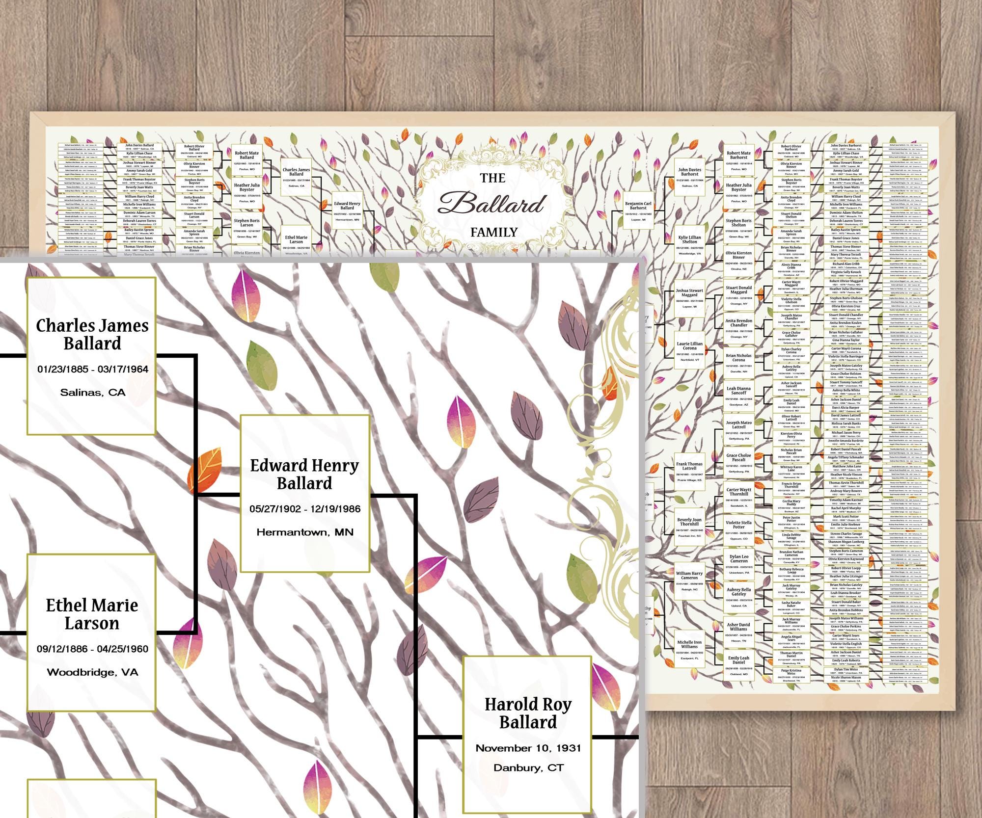 8 Generations Family Tree Template: Old Leafy Branched Trees Balli ...