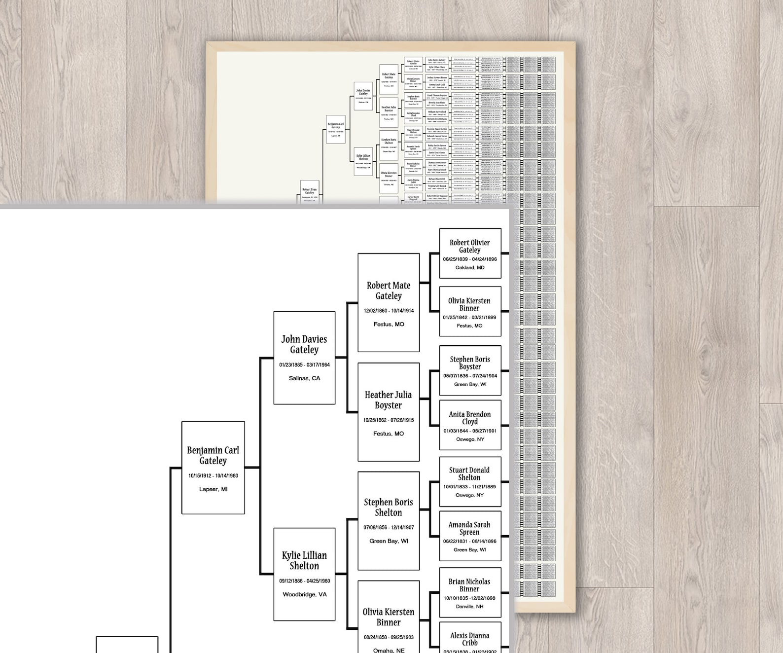 11 Generations Family Tree Template: Blank Cromi Genealogy Chart ...