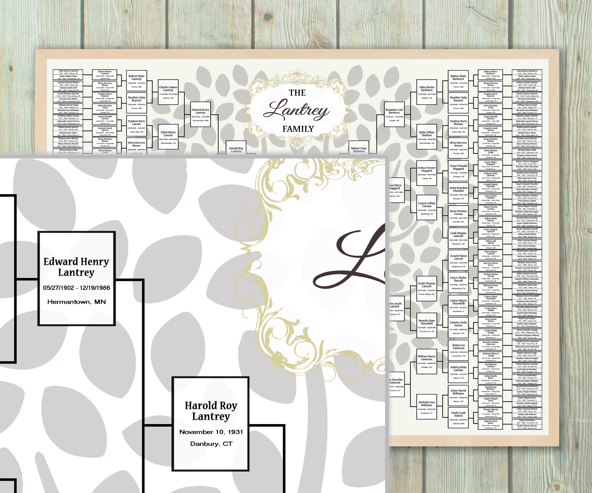 7 Generations Family Tree Template: Old Leafy Branched Tree Lantri ...