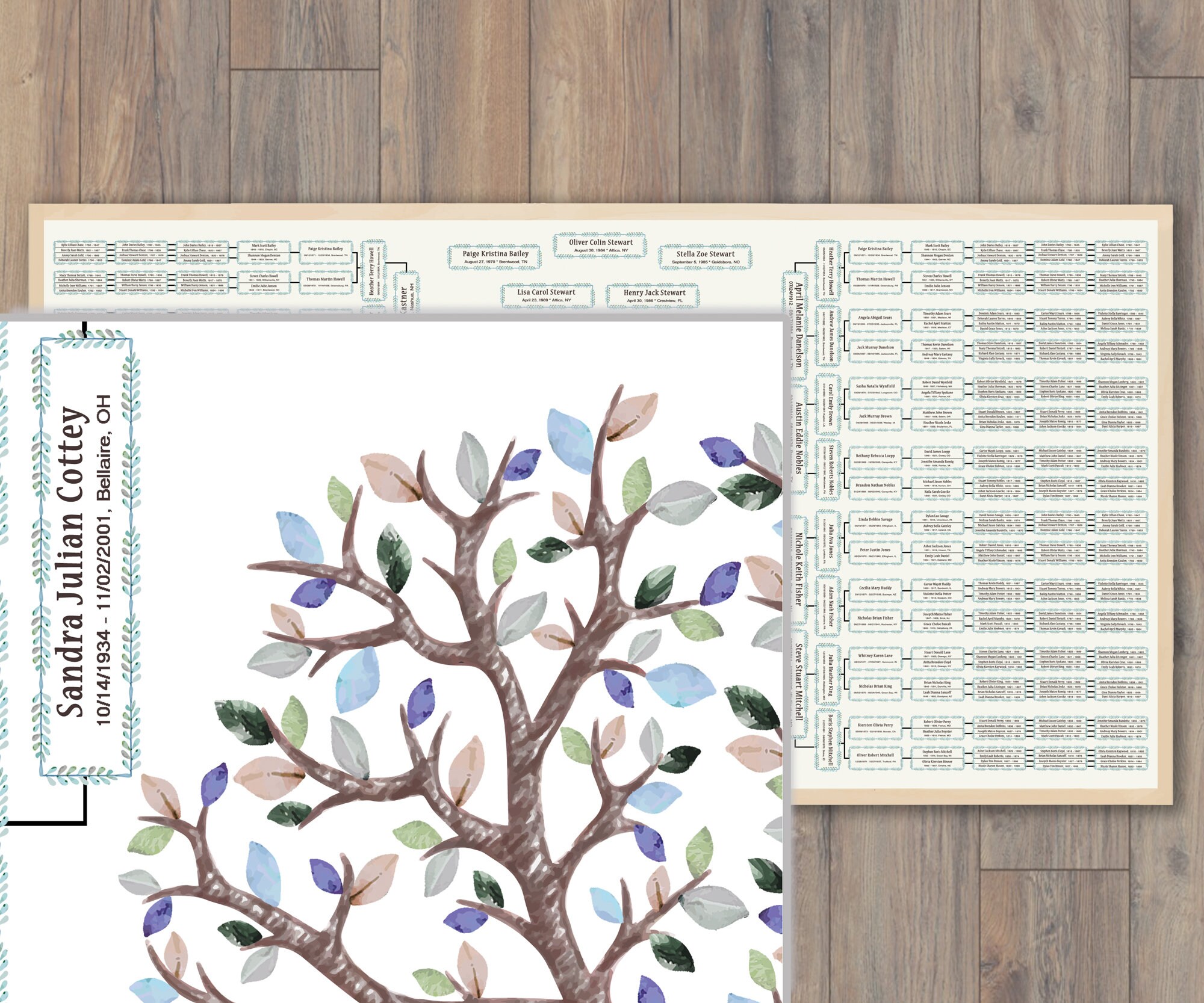 Family Tree Template for 8 Generations. Tree With Roots Large Winter ...