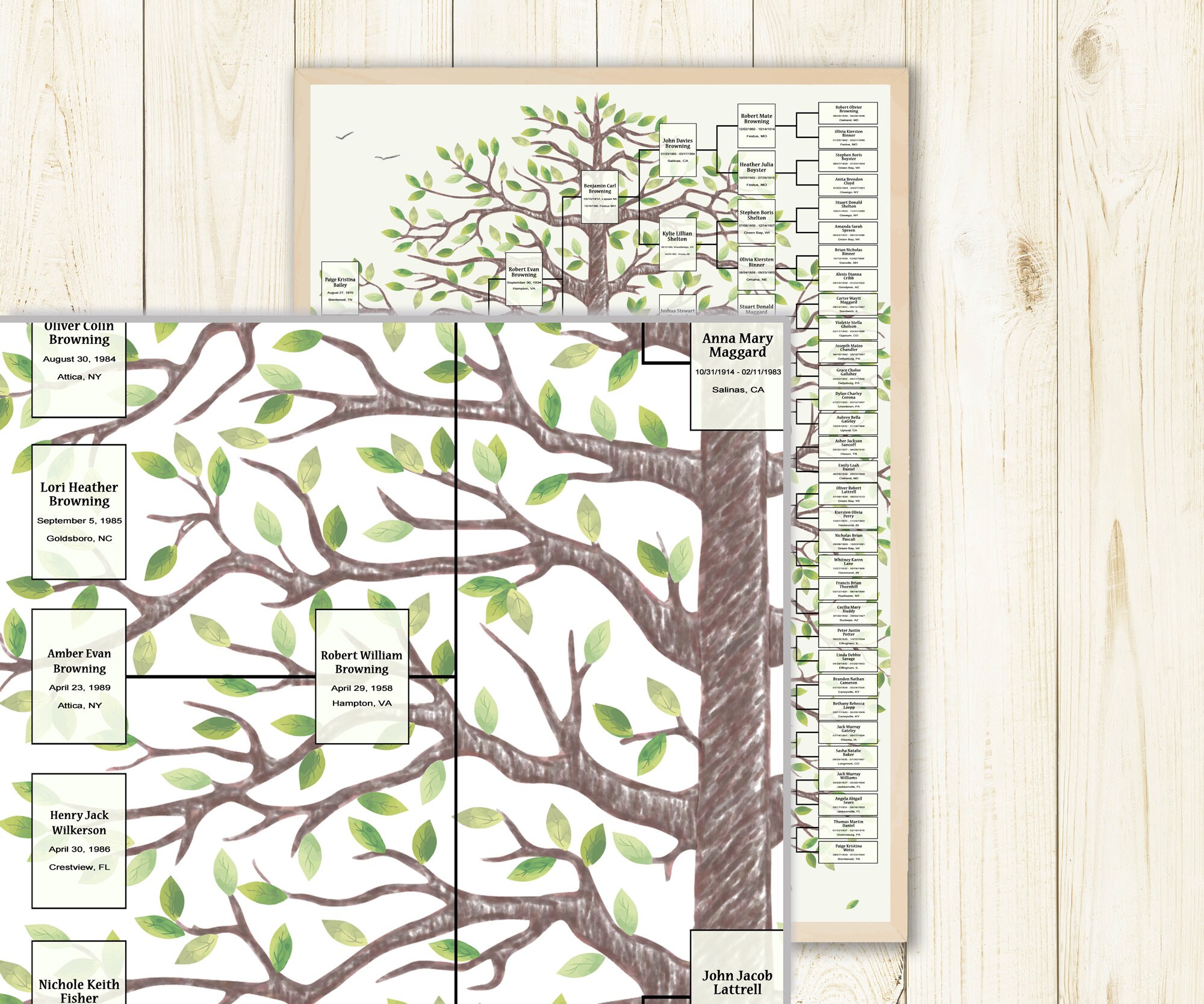 Family Tree Template for 6 Generations. Greenery Browni Watercolor ...