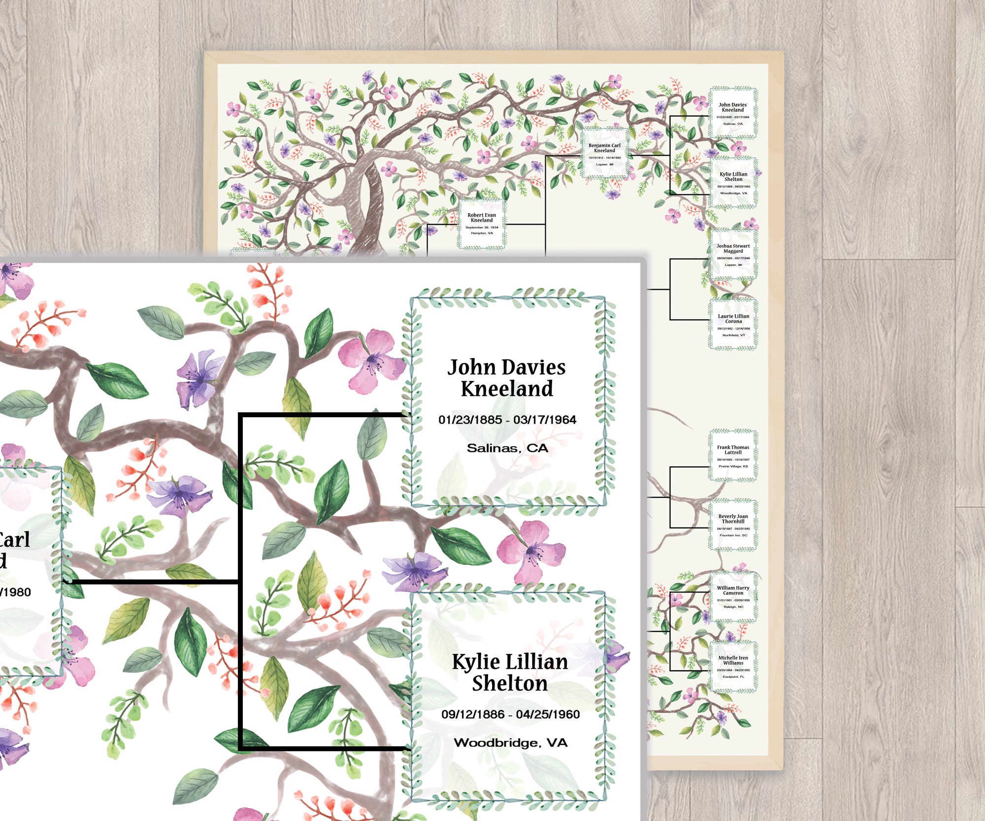 Family Tree Template for 4 Generations. Two Intertwining Trees Kneli ...