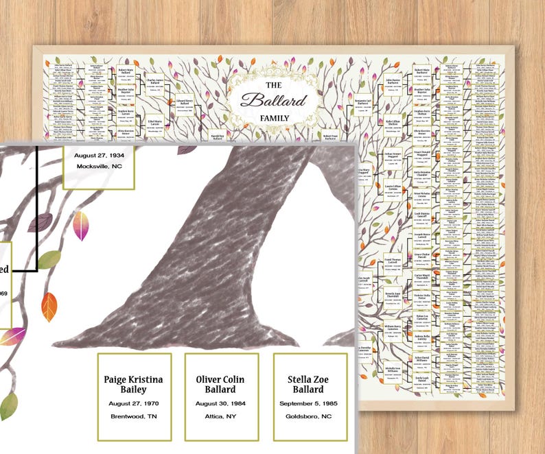 7 Generations Family Tree Template: Old Leafy Branched Trees Balli ...