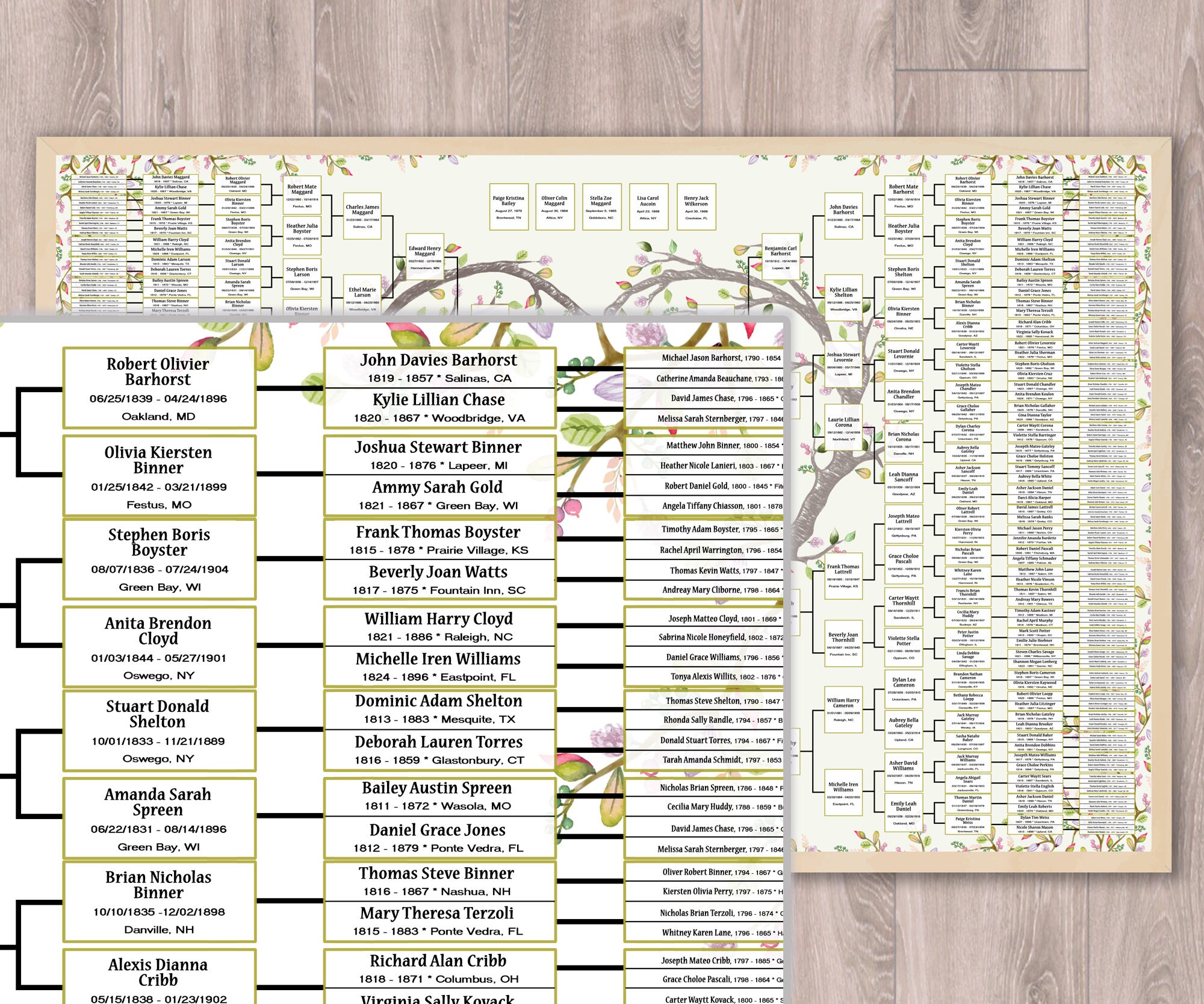 Family Tree Template for 8 Generations. Two Intertwining Heart Trees ...