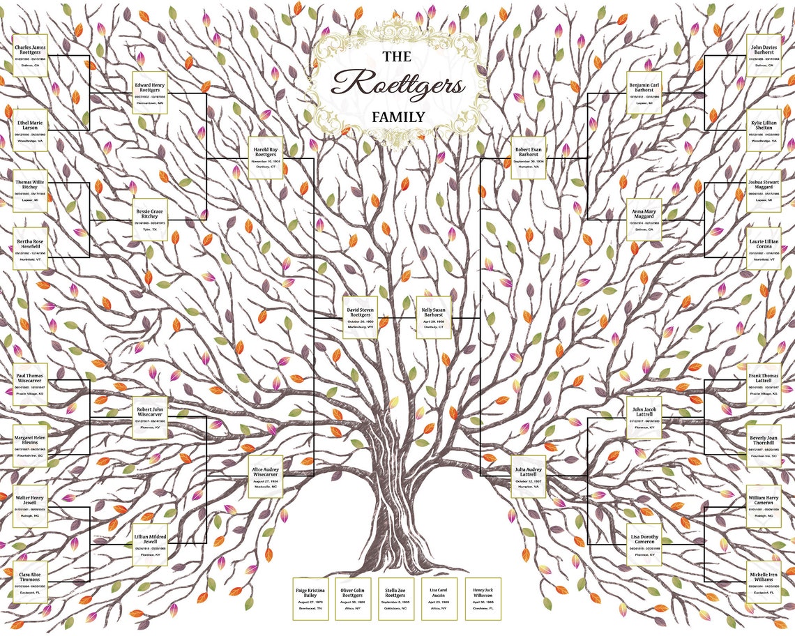 Family Tree Chart for 4 Generations. Old Leafy Tree Large Roeti Four ...