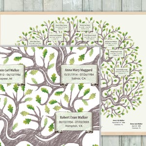 Family Tree Template for 4 Generations. Green Old Oak Tree Curved Trunk ...
