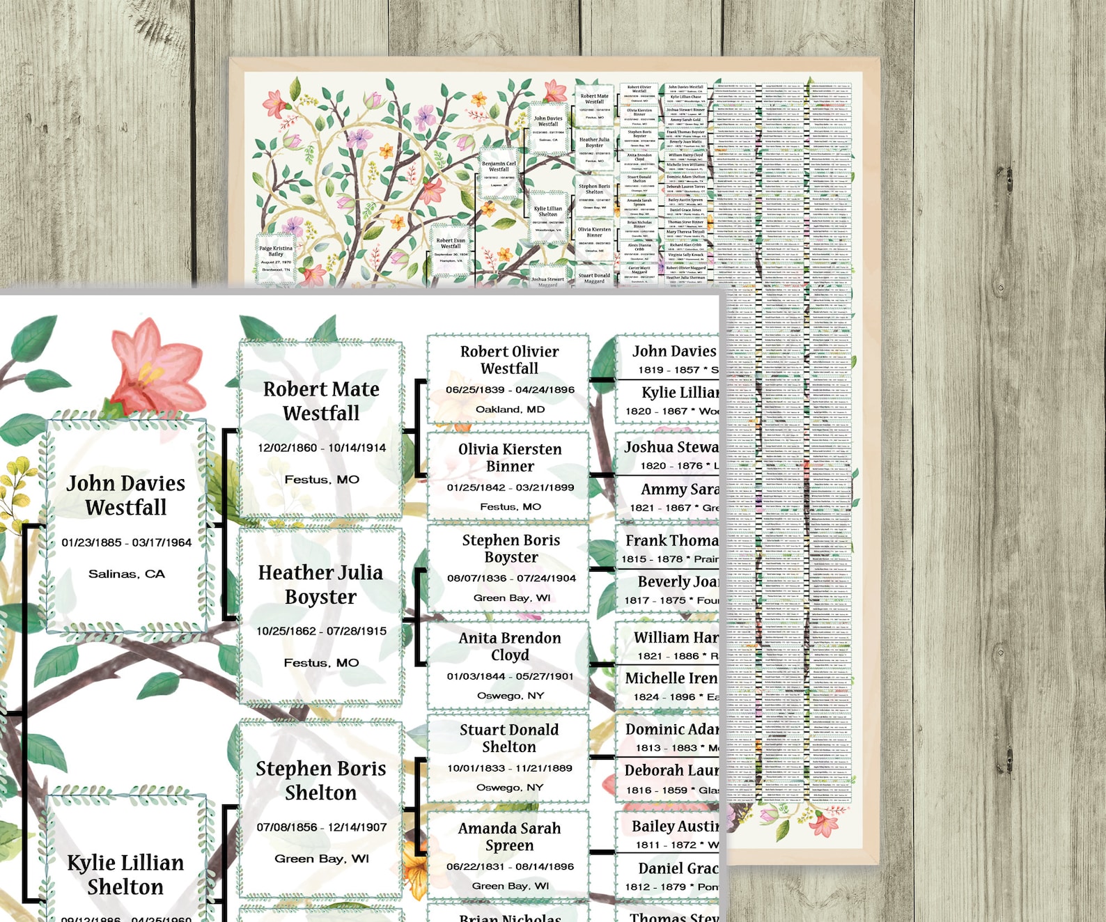 Family Tree Template for 9 Generations. Two Branched - Etsy