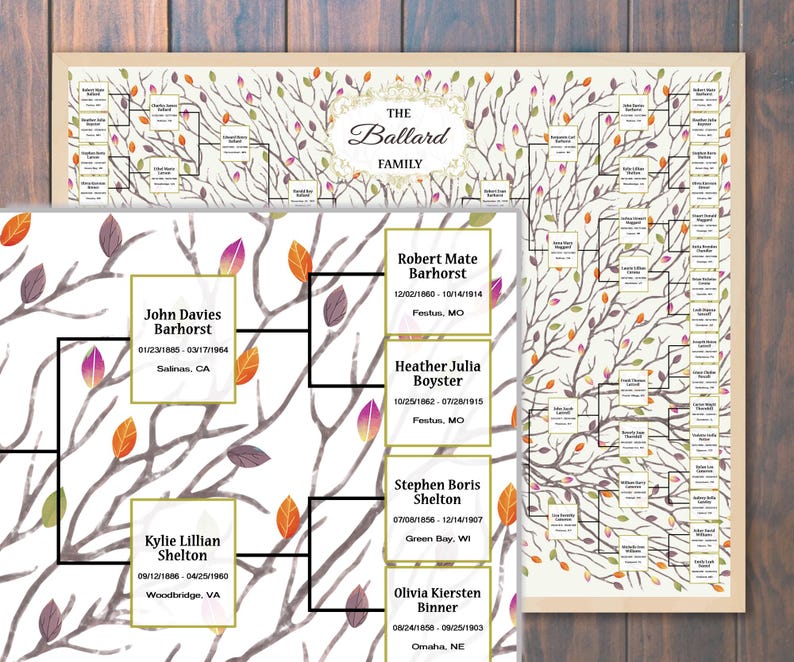 5 Generations Family Tree Template: Old Leafy Branched Trees Balli ...