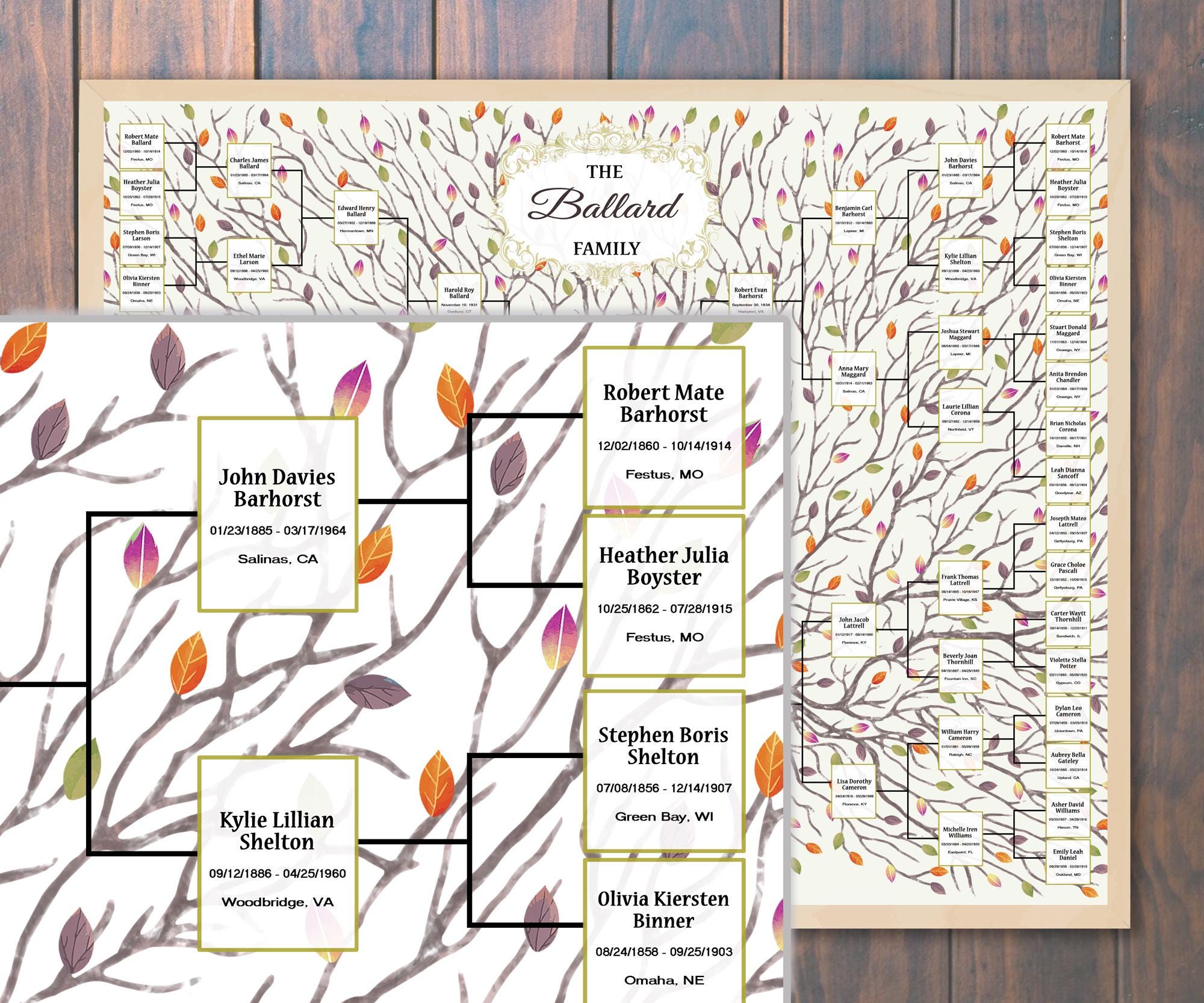 5 Generations Family Tree Template: Old Leafy Branched Trees Balli ...