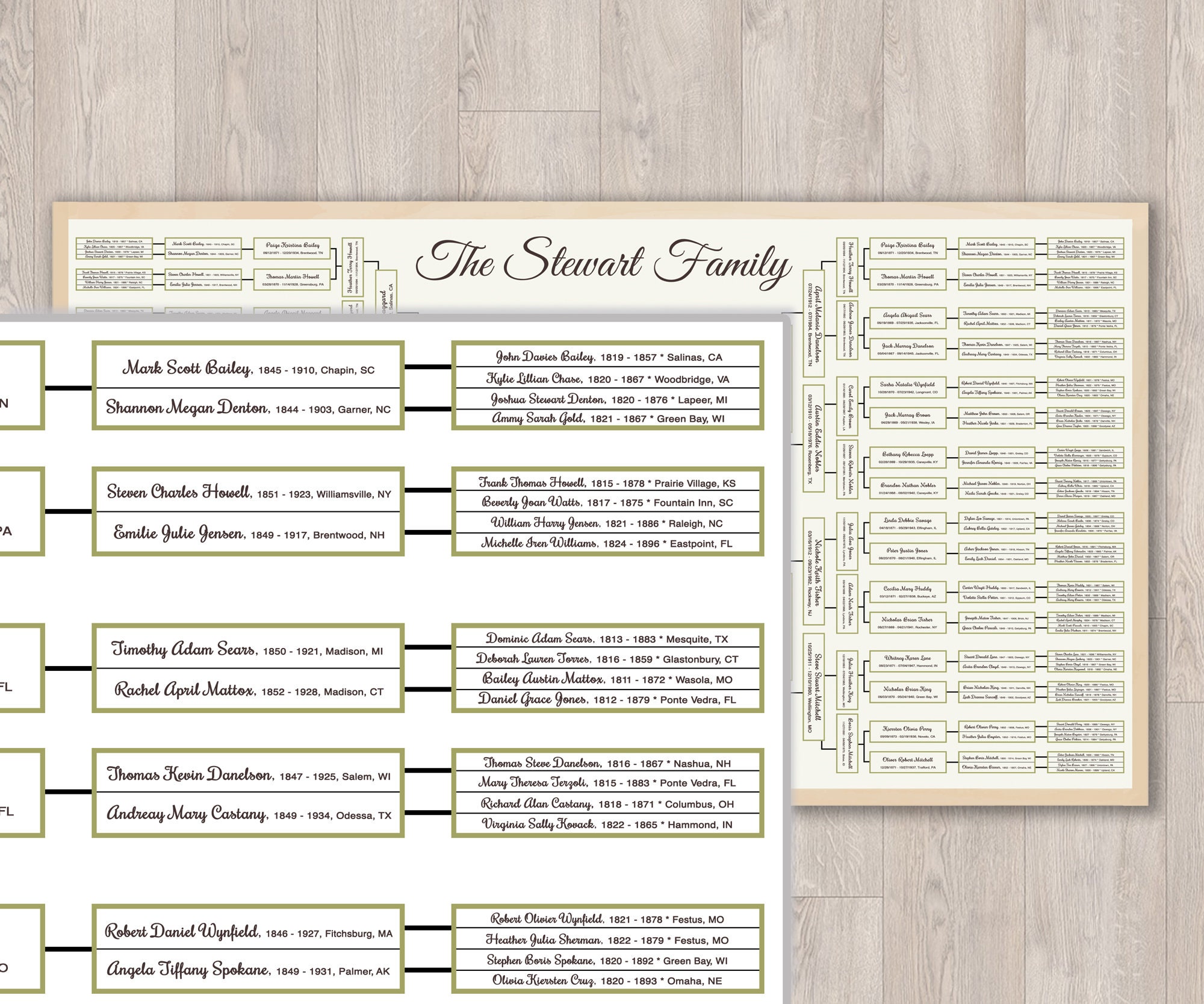 7 Generations Family Tree: Tree With Roots Large Stivi Template (corjl ...