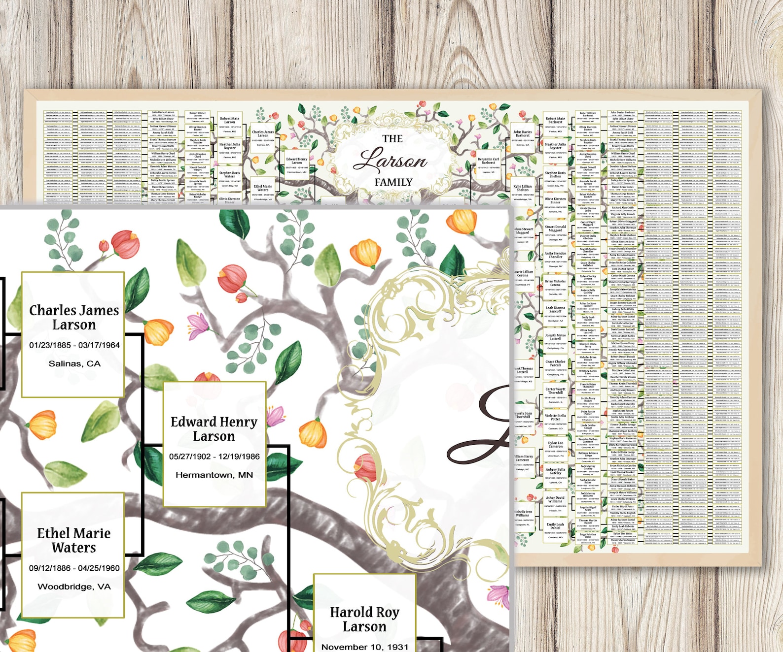 Family Tree Template for 9 Generations. Two Intertwining Summer Trees ...