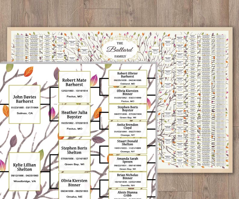 8 Generations Family Tree Template: Old Leafy Branched Trees Balli ...