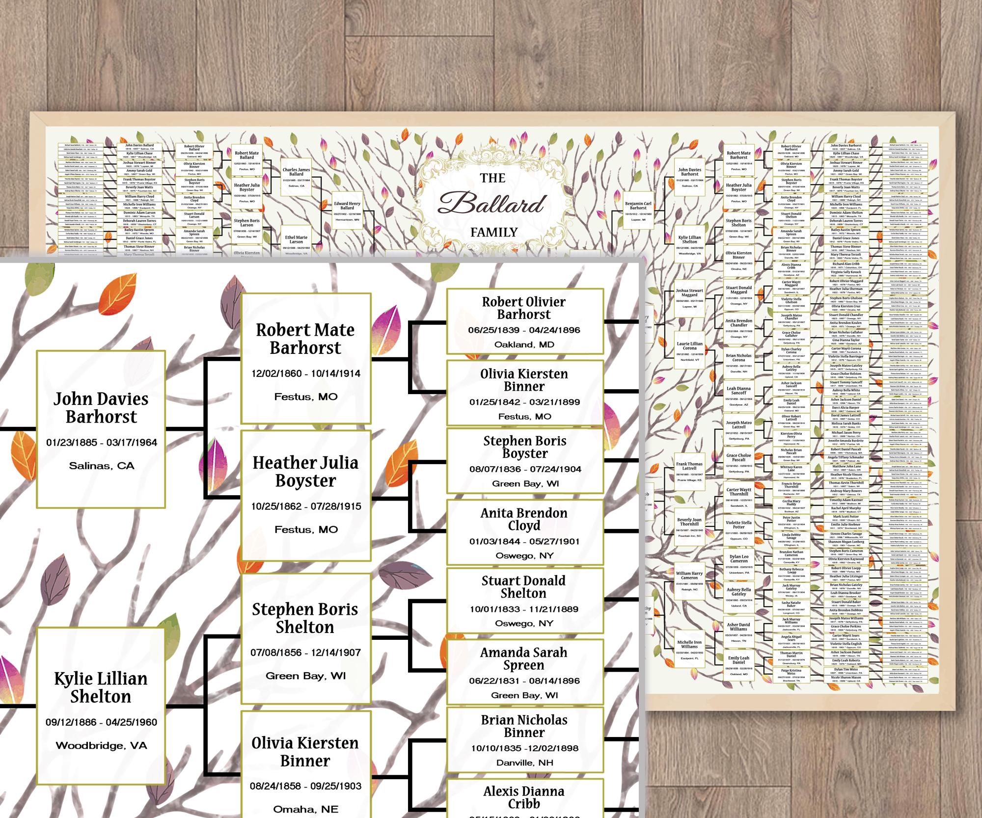 8 Generations Family Tree Template: Old Leafy Branched Trees Balli ...