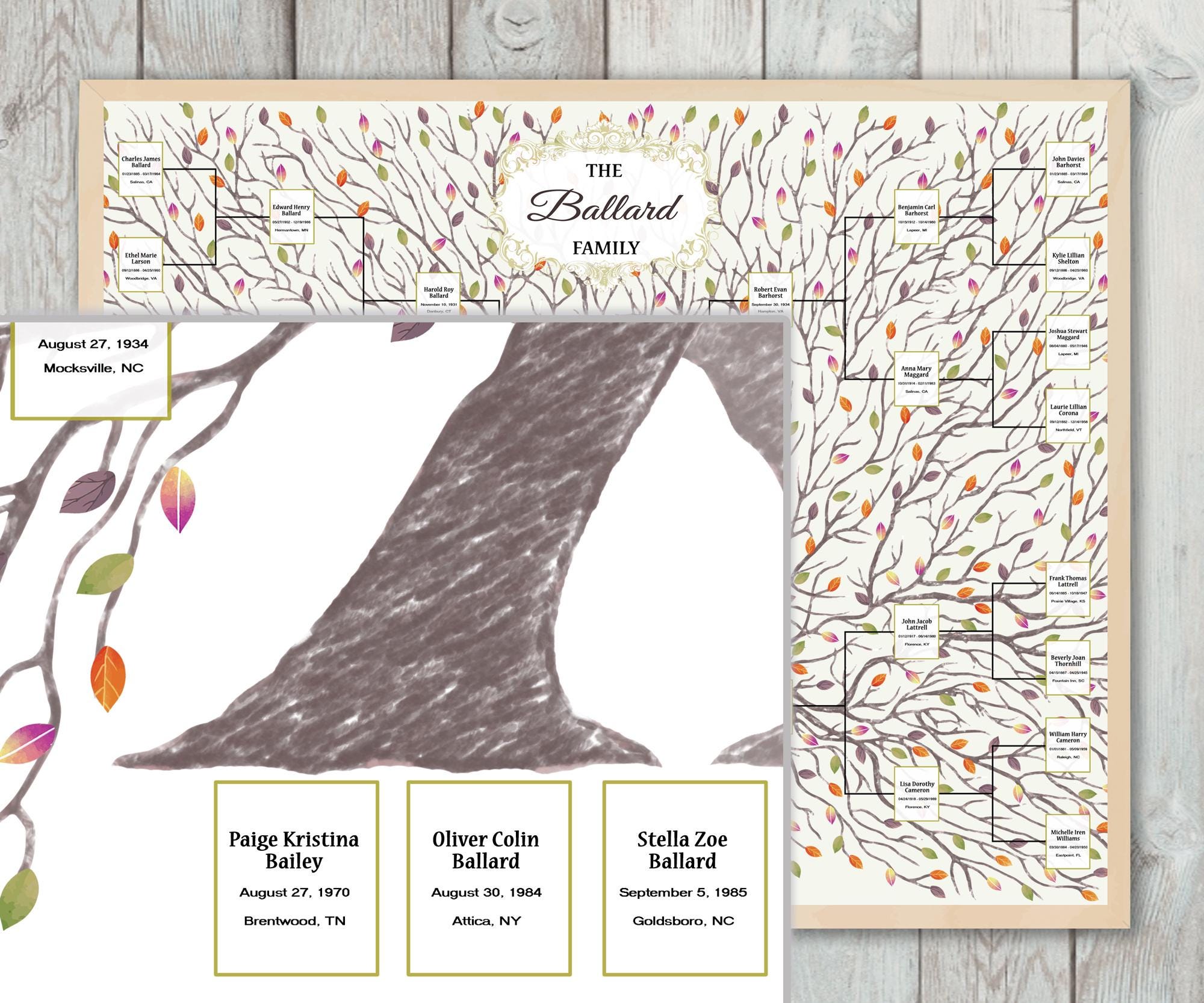 Family Tree Template for 4 Generations. Couple Old Leafy Branched Trees ...