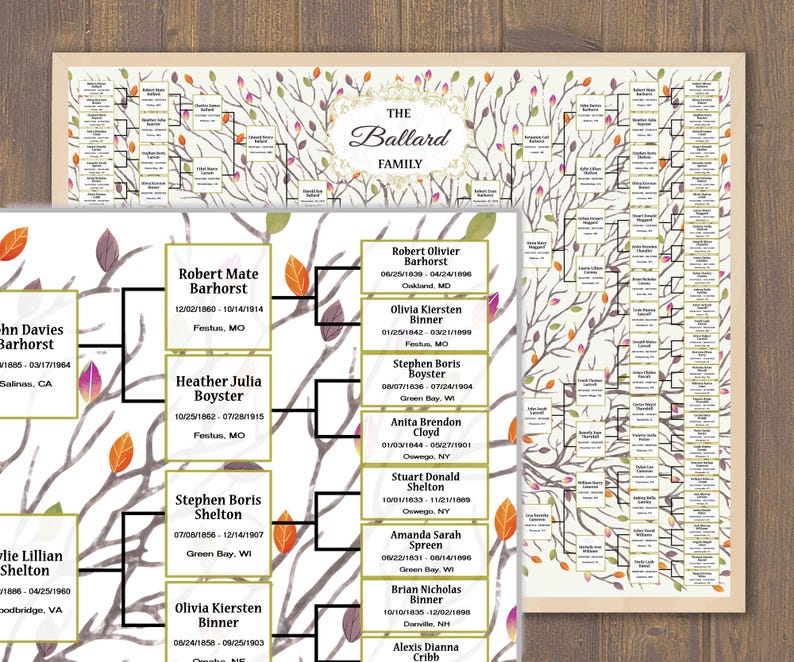 6 Generations Family Tree Template: Old Leafy Branched Trees Balli ...